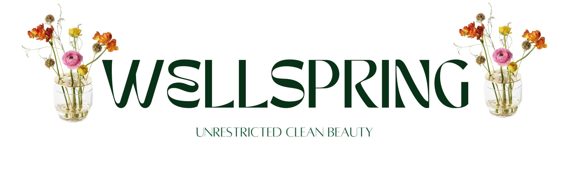 About – WELLSPRING